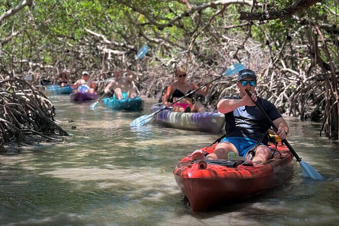 Mangrove Tunnel Kayak Tour To Shell Key - St. Pete, FL - Authentic Wildlife Encounters and Guides