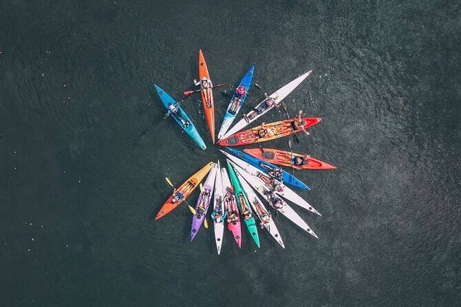 Mangroves and Mansions Guided Kayak Tour on the Noosa River - Who Would Love This Tour?
