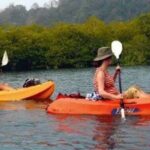 Mangroves Kayaking At Havelock - What makes this experience stand out