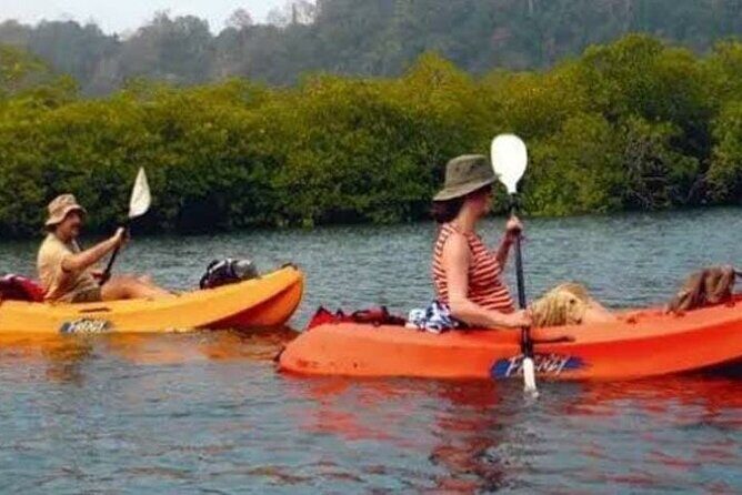 Mangroves Kayaking At Havelock - What makes this experience stand out