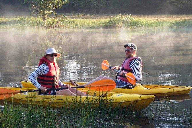 Mangroves Magic Goa Kayaking Experience - The Sum Up