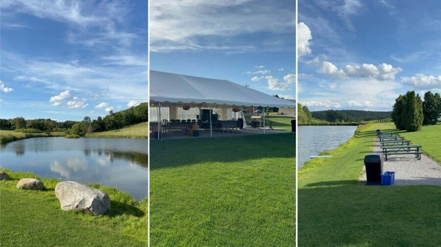 Manhattan: Millbrook Vineyards & Winery Private Tour - What’s Included and What’s Not