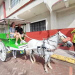 Manila: Intramuros Tour 6 hours CITY TOUR with Van Service - Who Should Consider This Tour?