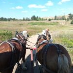 Manitoba: Horse-Drawn Wagon Ride in Spruce Woods Park - Exploring Manitoba’s Spirit Sands by Wagon: A Practical Overview