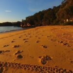 Manly: 3-Beach Kayak Tour with Lunch - The Details: What’s Included and How It Adds Value