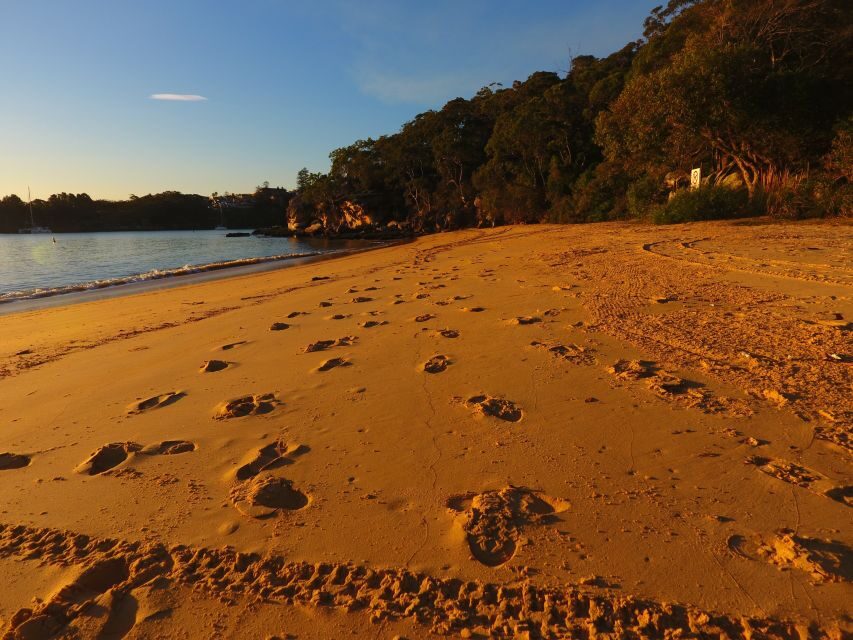 Manly: 3-Beach Kayak Tour with Lunch - The Details: What’s Included and How It Adds Value