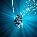 Manly: Beginner Freediving: Breath-Hold & Ocean Exploration - What to Expect: Step-by-Step Overview