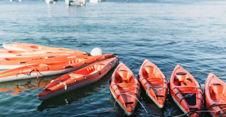 Manly: Mini Kayak Tour on Sydney's North Harbour - An In-Depth Look at the Mini Kayak Tour in Manly