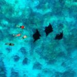 Manta Ray Experience - Analyzing the Value