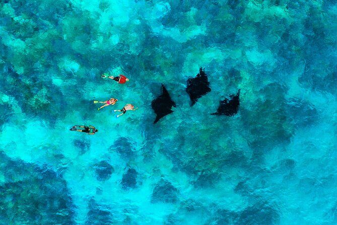 Manta Ray Experience - Analyzing the Value