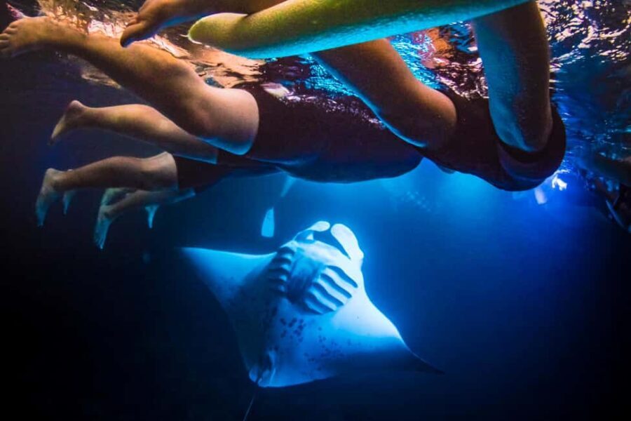 Manta Ray Snorkel in Kailua-Kona with Hot Cocoa - Who Should Sign Up?