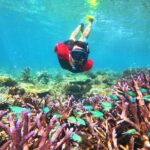 Mantaray Island Day Trip with Lunch - Final thoughts: Is this tour right for you?