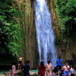 Mantayupan Falls & Moalboal: Snorkeling & Sardine Run Tour - A Closer Look: What’s in Store