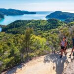 Marahau: Abel Tasman Kayaks Kayak and Walk - The Itinerary Breakdown: From Kayaks to Coastlines