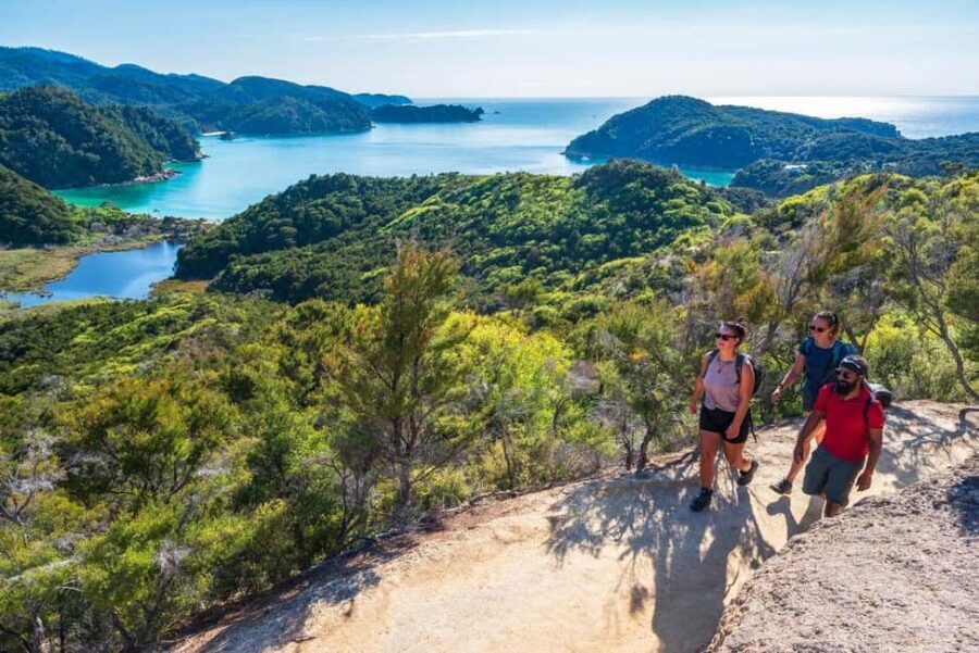 Marahau: Abel Tasman Kayaks Kayak and Walk - The Itinerary Breakdown: From Kayaks to Coastlines