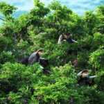 Marble mountain, Am Phu cave and Monkey mountains group tour - The Value and Practical Aspects