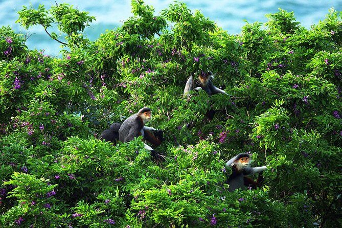 Marble mountain, Am Phu cave and Monkey mountains group tour - The Value and Practical Aspects