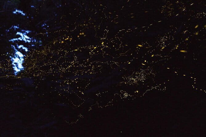 March-JunePrivate Firefly Viewing & Stargazing tour - Final Thoughts: Is It Worth It?