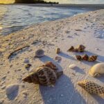 Marco Island: 2 Private Hour Sunset Boat Tour - A Closer Look at the Experience