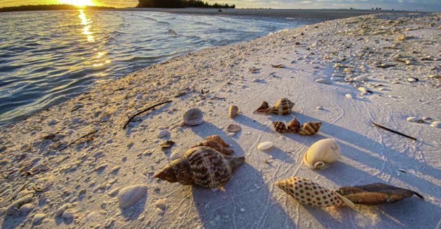 Marco Island: 2 Private Hour Sunset Boat Tour - A Closer Look at the Experience