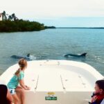 Marco Island: Private Shelling & Dolphin Excursion - Final Thoughts: The Authentic Florida Water Experience