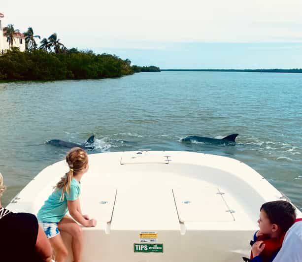 Marco Island: Private Shelling & Dolphin Excursion - Final Thoughts: The Authentic Florida Water Experience