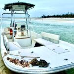 Marco Island Private Tubing, Dolphin Watching and Shelling Tour - Who Will Love This Tour?