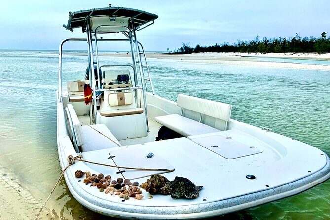 Marco Island Private Tubing, Dolphin Watching and Shelling Tour - Who Will Love This Tour?