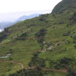Mardi Himal Base Camp Trek (5 Days) - Day 3: Approaching High Camp