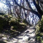 Mardi Himal Trek - Detailed Itinerary Breakdown