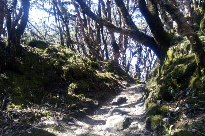 Mardi Himal Trek - Detailed Itinerary Breakdown