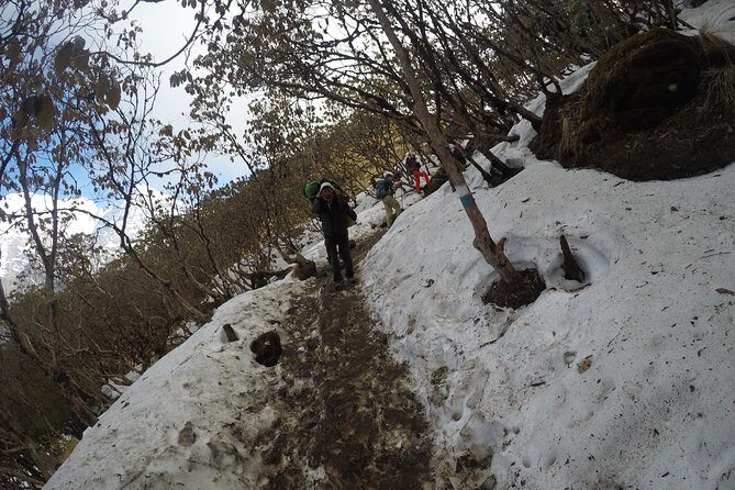 Mardi Himal Trekking - Practical Tips for Trekkers