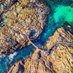 Margaret River Day Tour With Wildlife Cruise & Wine Tasting - Authentic Feedback from Travelers