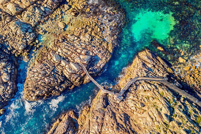 Margaret River Day Tour With Wildlife Cruise & Wine Tasting - Authentic Feedback from Travelers