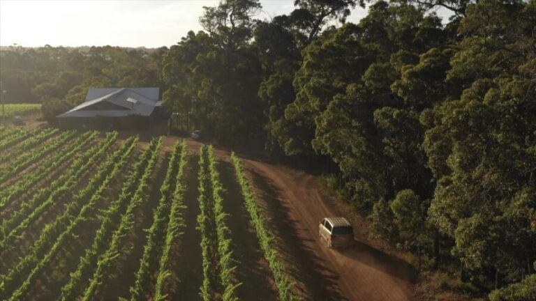 Margaret River Full-Day Wine, Local Produce & Nature Tour - Tasting the Region’s Best Wines