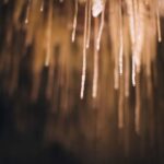 Margaret River: Lake Cave Fully-Guided Tour - Why This Tour Stands Out