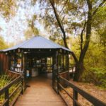 Margaret River: Self-Guided Audio Tour of Mammoth Cave - Key Points