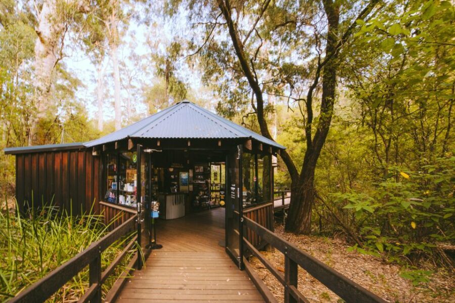 Margaret River: Self-Guided Audio Tour of Mammoth Cave - Key Points