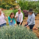 Margaret River: Whicher Ridge Immersive Wine Experience - The Unique Setting: Australia’s First Wine Sensory Garden