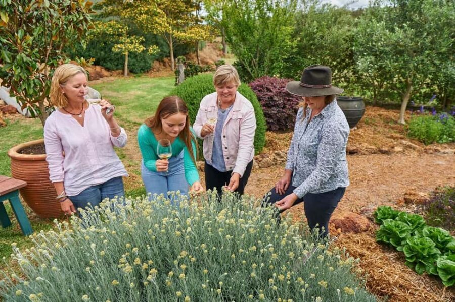 Margaret River: Whicher Ridge Immersive Wine Experience - The Unique Setting: Australia’s First Wine Sensory Garden