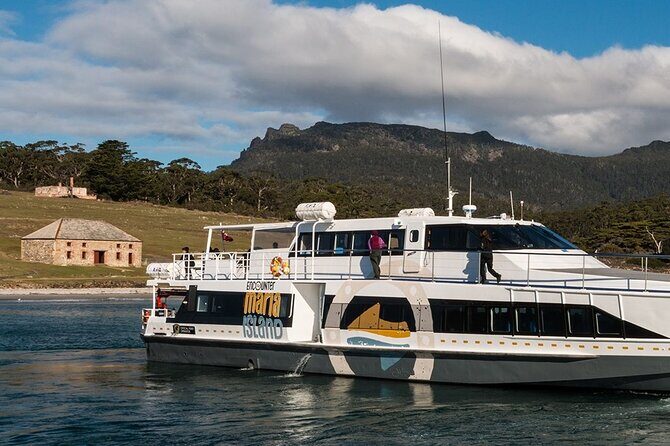 Maria Island Active Day Tour from Hobart - Exploring Tasmania’s Hidden Gem: Maria Island