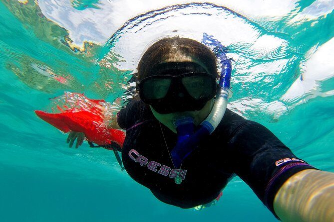 Marietas Islands snorkeling & Hidden beach (w/ restrictions) - Final Thoughts: The Right Adventure For Nature Lovers & Snorkelers
