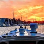 Marina Del Rey Luxury Boat Cruise Wine, Charcuterie Sealions - Why This Cruise Is a Great Choice