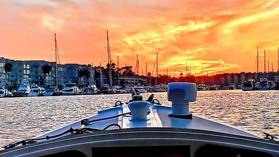 Marina Del Rey Luxury Boat Cruise Wine, Charcuterie Sealions - Why This Cruise Is a Great Choice