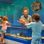 Marine Discovery Centre - The Marine Exhibits and Interactive Displays
