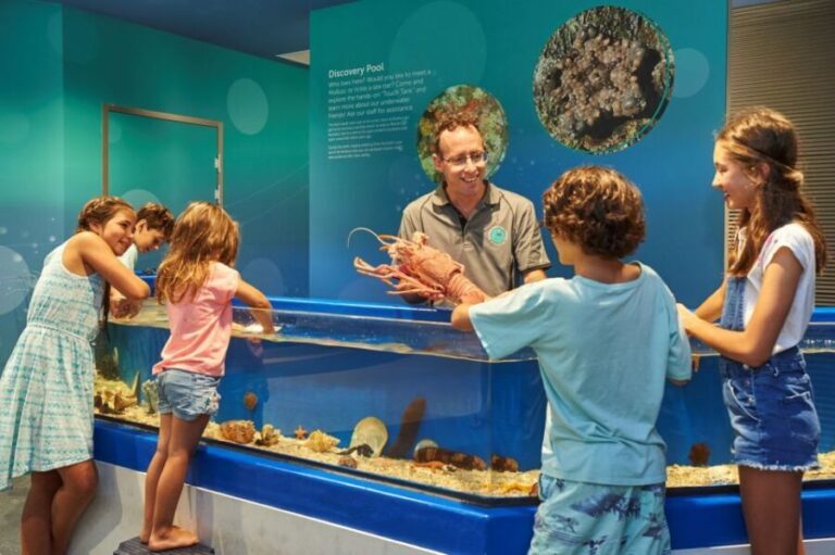 Marine Discovery Centre - The Marine Exhibits and Interactive Displays