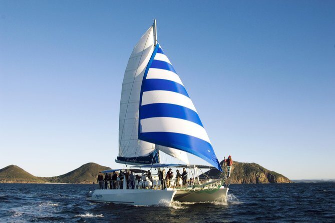 Marine Discovery + Snorkeling Cruise - Port Stephens - Who Will Love This Tour?