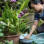 Market Tour and Cooking Class with a Local in Da Nang - Who Should Consider This Tour?