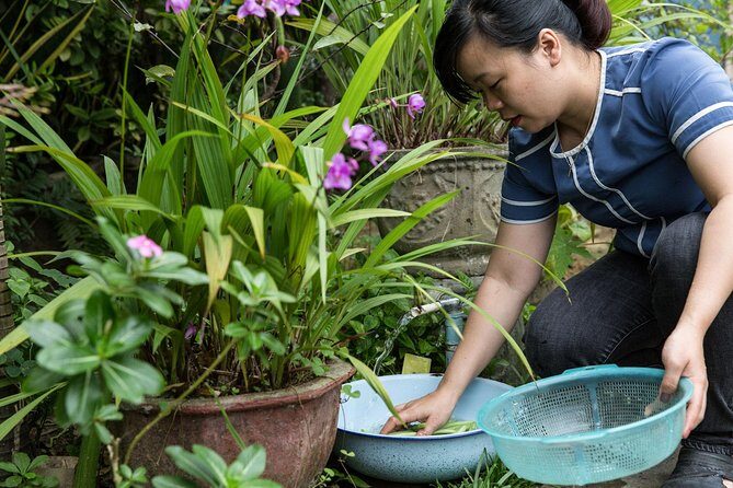 Market Tour and Cooking Class with a Local in Da Nang - Who Should Consider This Tour?