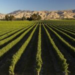 Marlborough Afternoon Wine Tour with Tastings - The Itinerary: A Thoughtfully Planned Afternoon